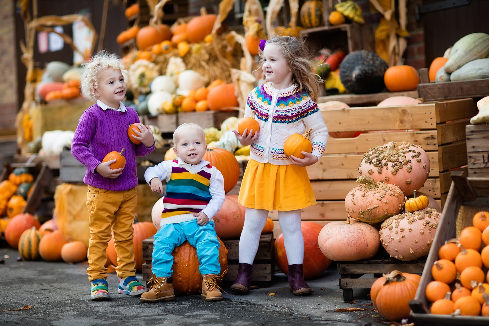 Family-Friendly Places to Celebrate Fall By Elegant Concierge Services ...